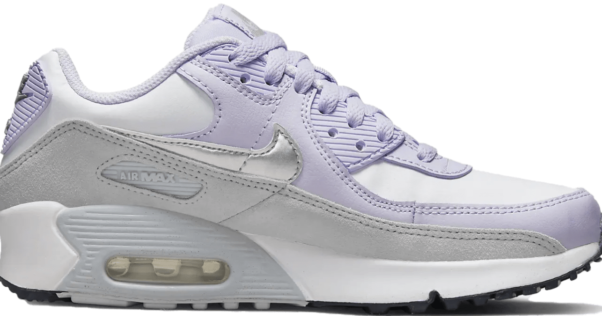Nike Air Max 90 LTR GS "Violet Frost" | CD6864-123 | Sneaker Squad